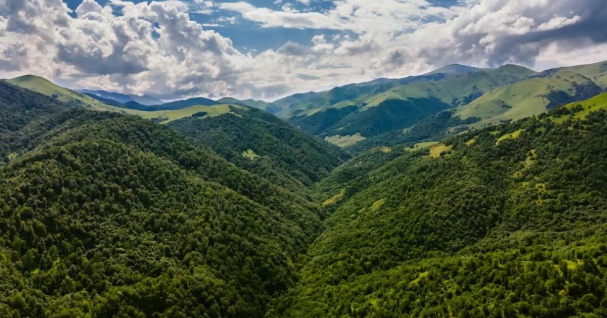 Colombia clasificó entre los cinco países más atractivos para invertir ...