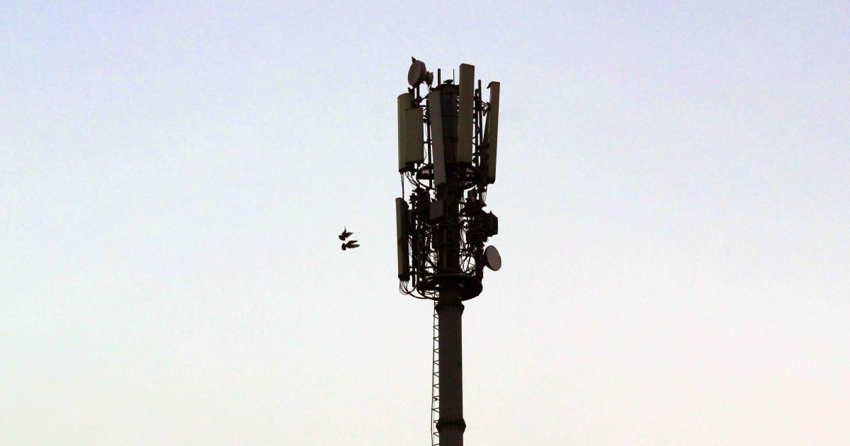 Descubre cómo el 4G puede erradicar la pobreza digital en el país